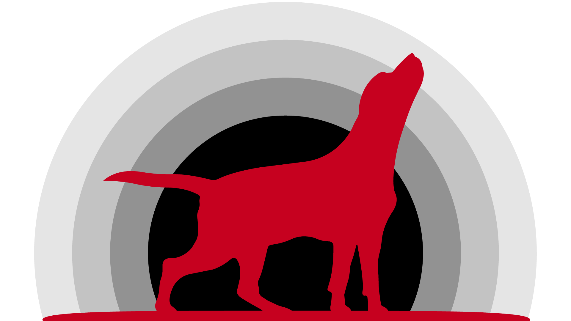 Home - Red Dog Media