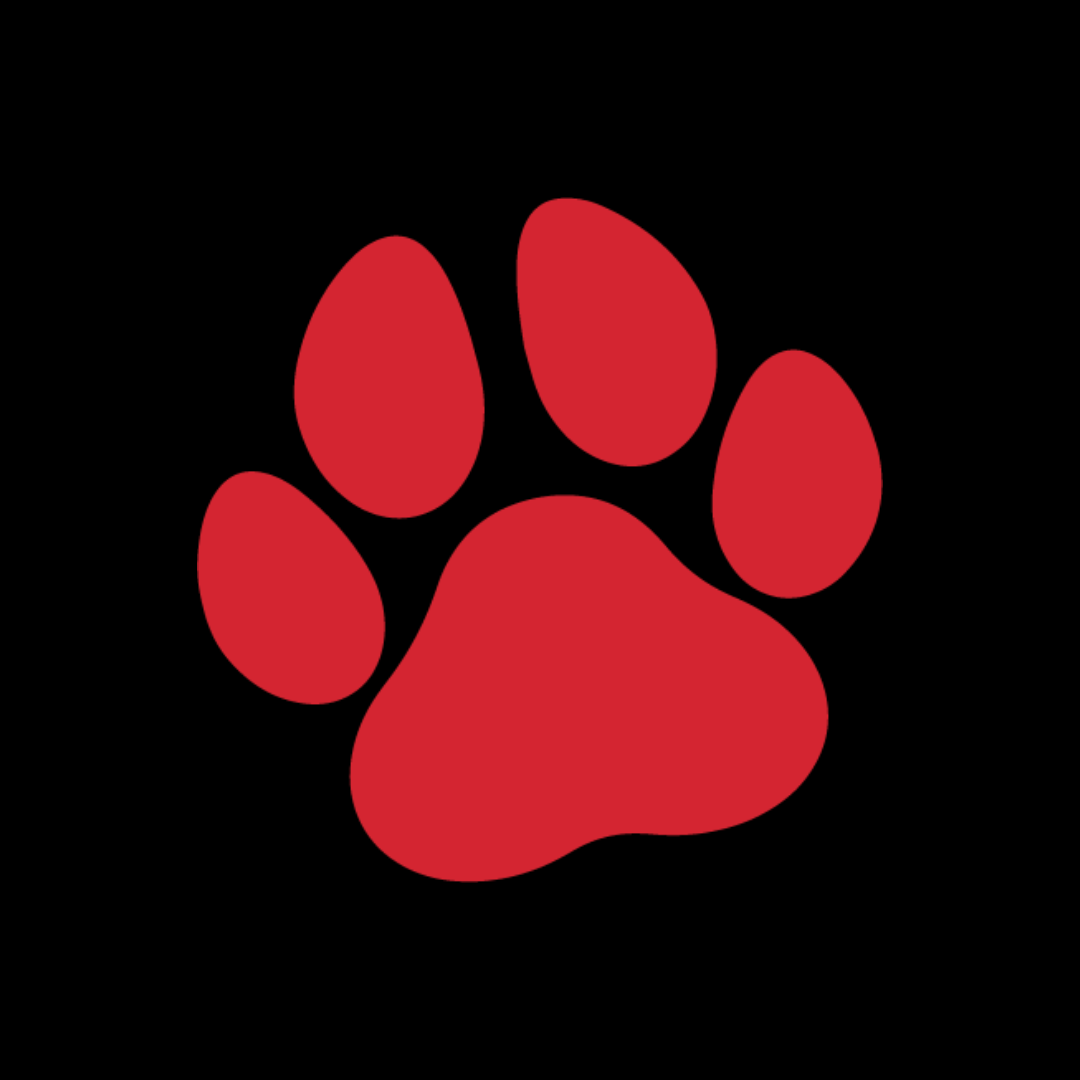 Home - Red Dog Media