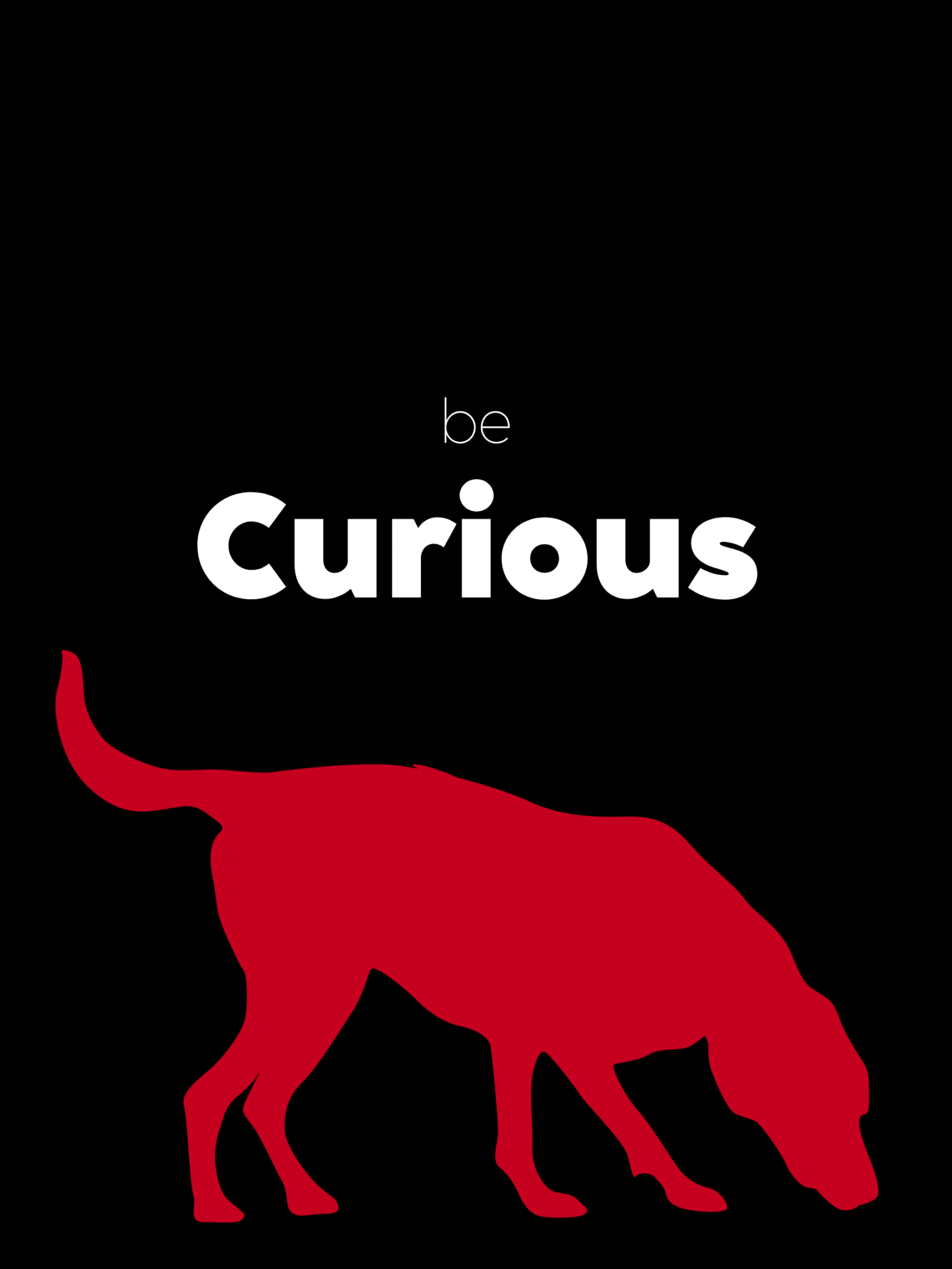 About - Red Dog Media