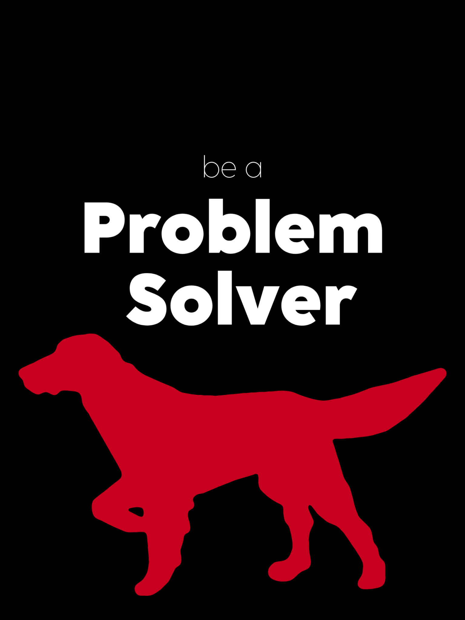 About - Red Dog Media